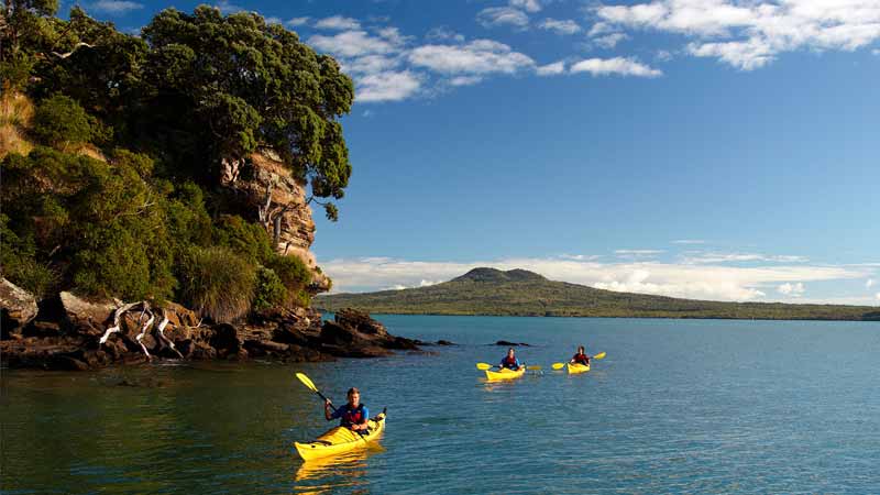 Activities You Can Do in Auckland - StoryV Travel & Lifestyle