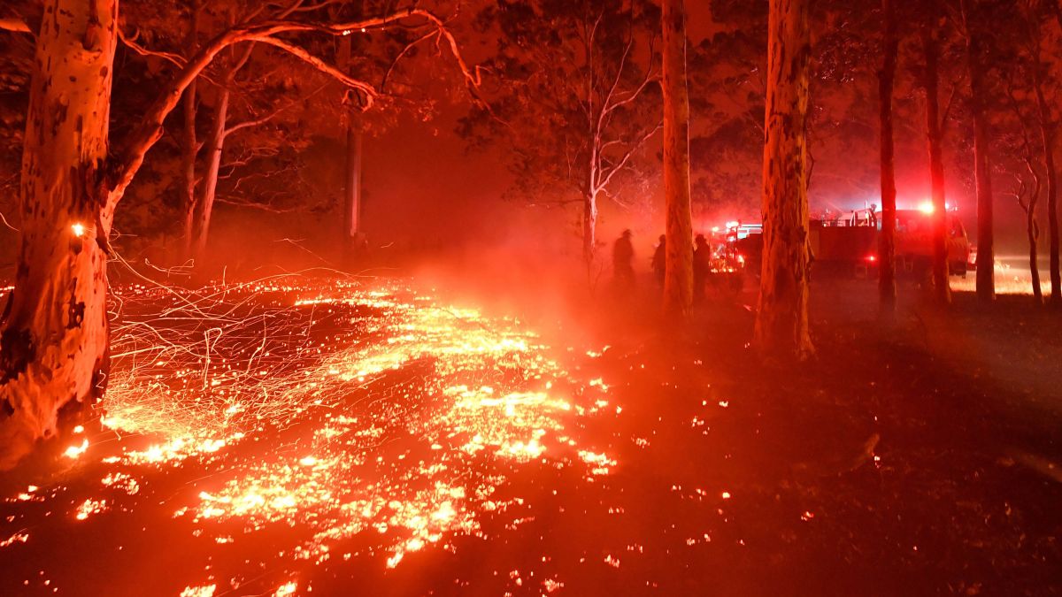 Why Australia Is Burning And What We Can Do - StoryV Travel & Lifestyle