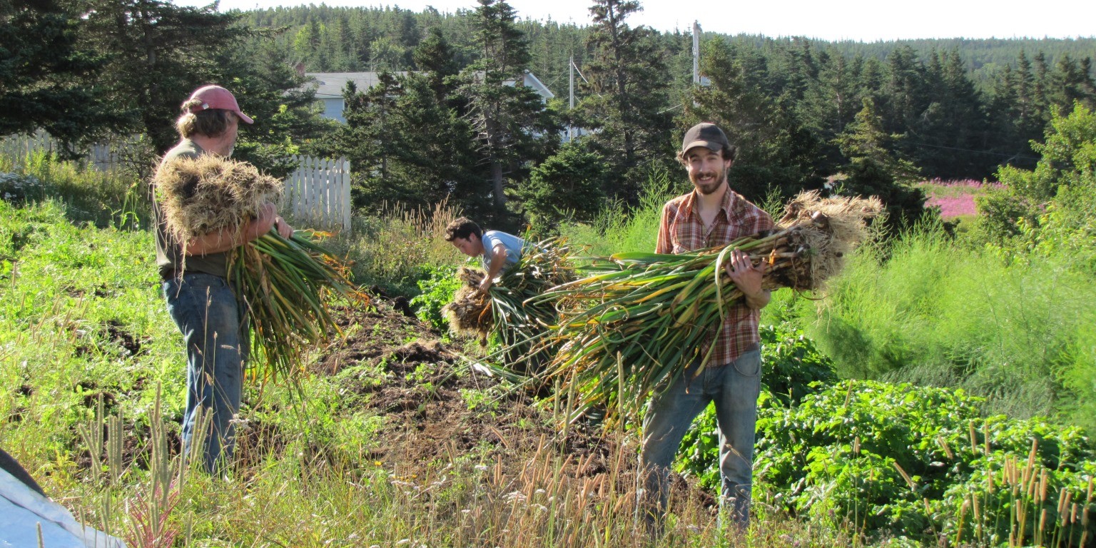 Travel The World For Cheap By Becoming A WWOOFer - StoryV Travel ...